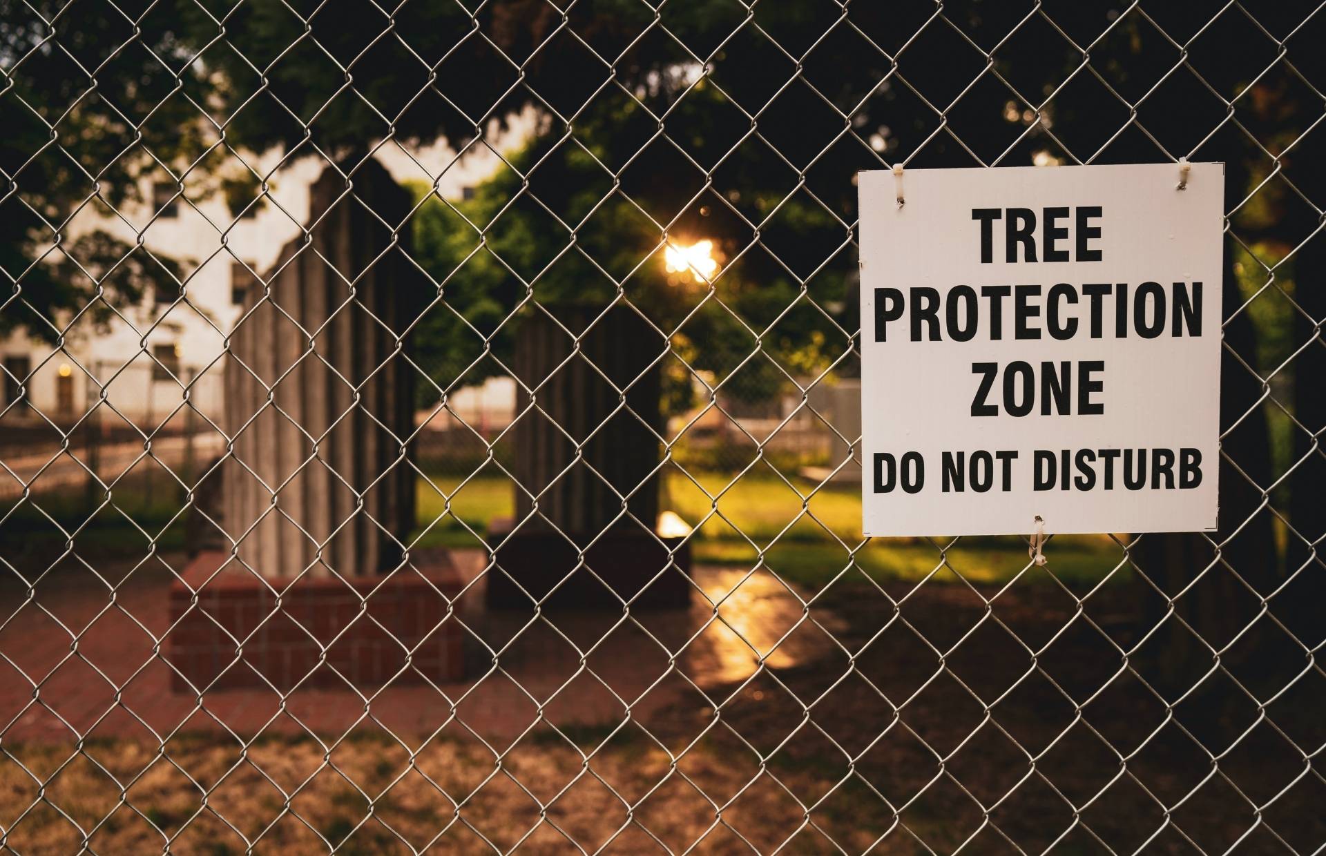 4 steps to protecting trees during construction in the Cincinnati Area ...
