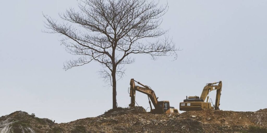 4 steps to protecting trees during construction in the Cincinnati Area ...